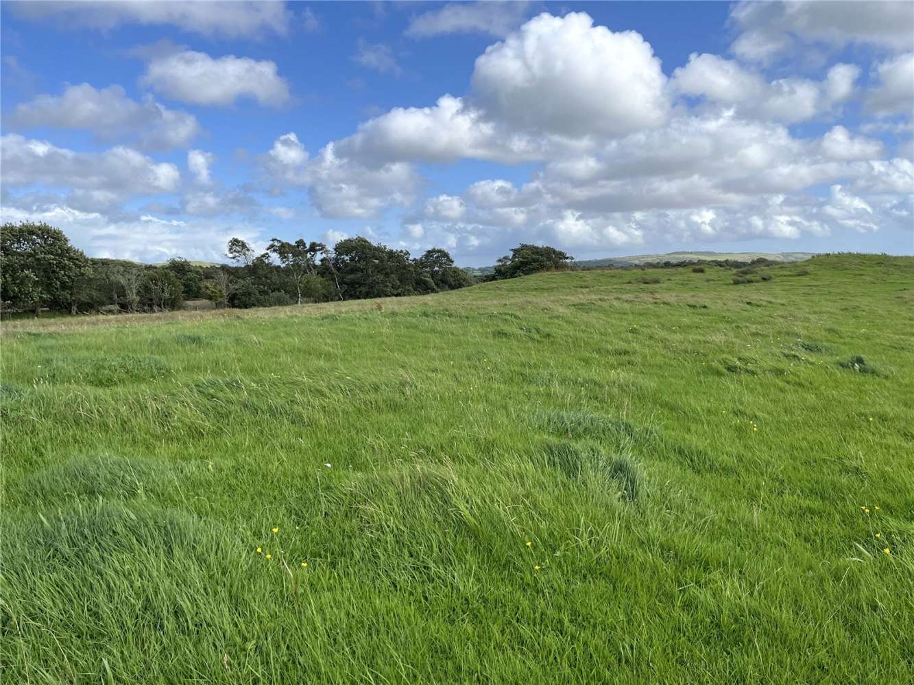 Land Off Palace Lane - H&H Land & Estates